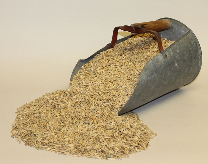 WHOLE OATS RECLEANED – J&R Tack & Feed CO